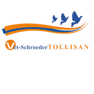 Tollisan Tauben Produkte + Vet. Schroeder | Tierfutterpro